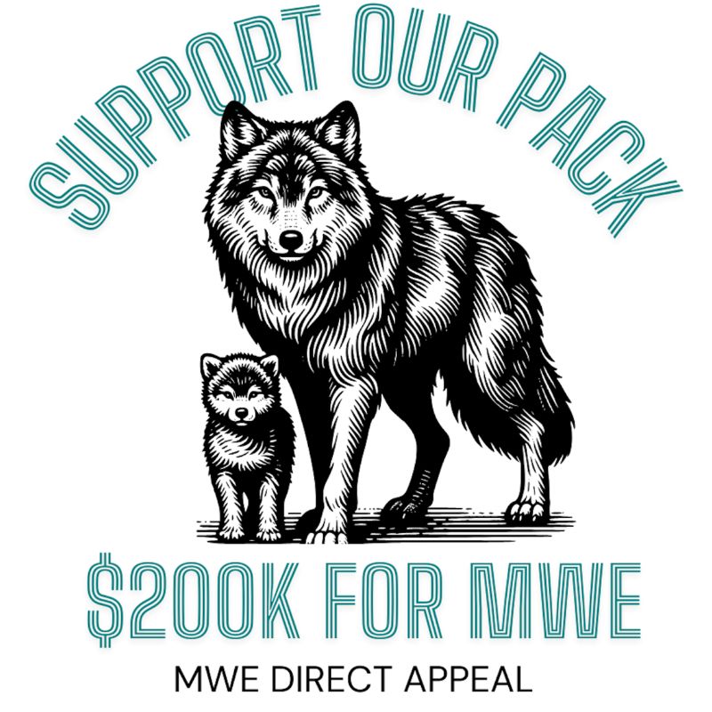 Direct Appeal Campaign: Support Our Pack!