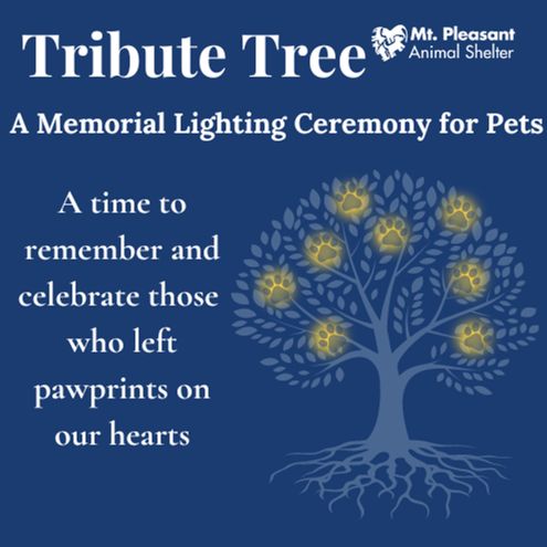 Tribute Tree 2024: A Memorial Tree Lighting Ceremony for Pets