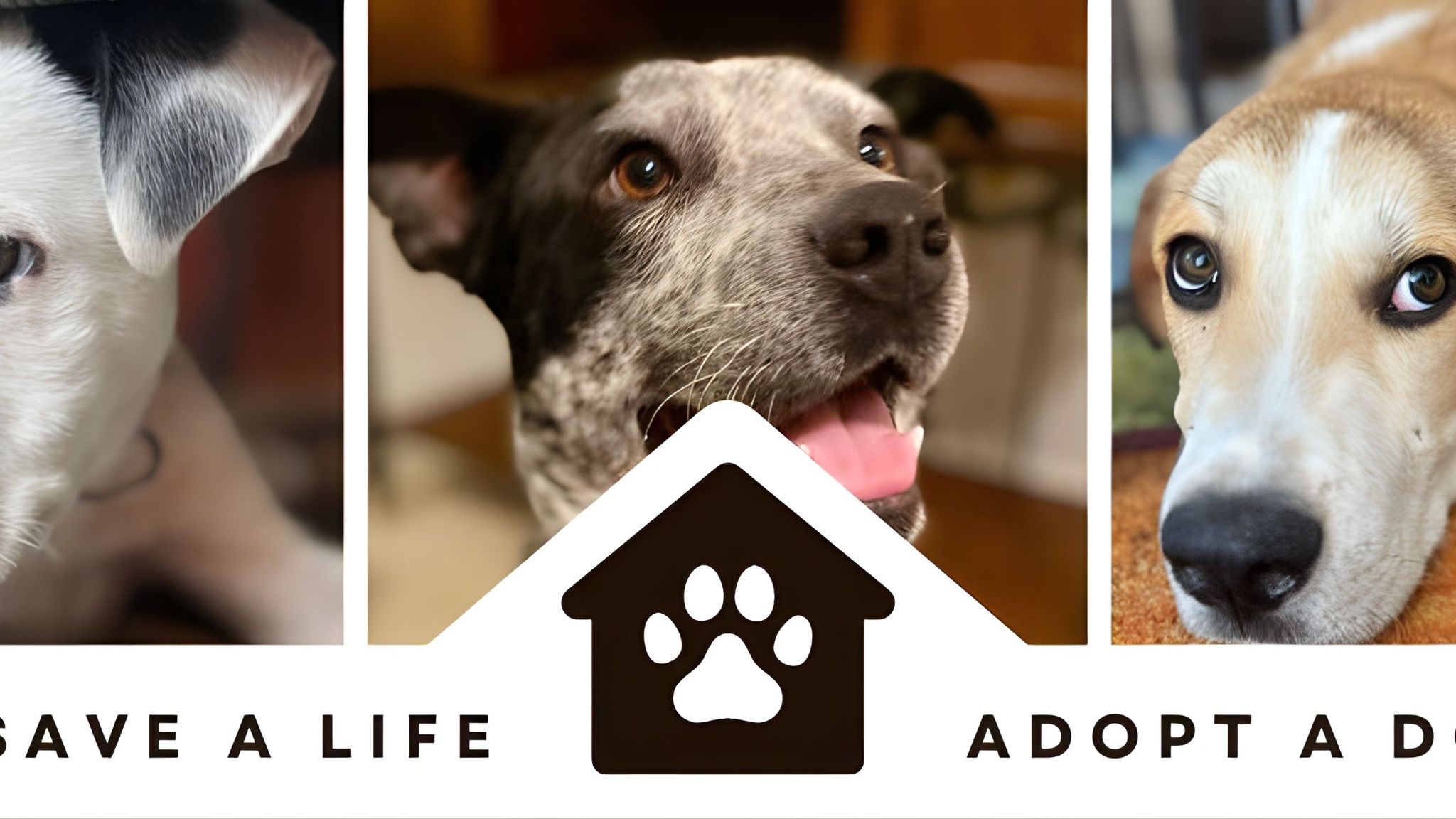 Nevaeh’s Gate Dog Rescue Raffle!