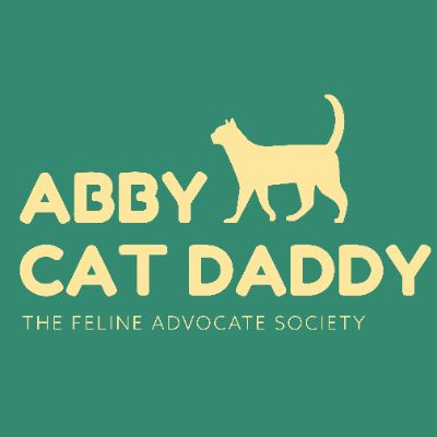 Abby Cat Daddy 50/50 Winter 2024