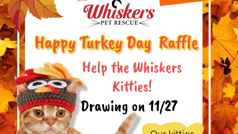 Whiskers Happy Turkey Day Raffle!
