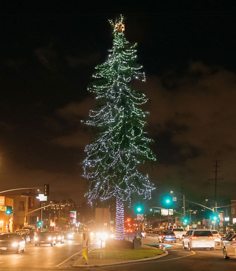 33rd Annual Atwater Village Tree Lighting