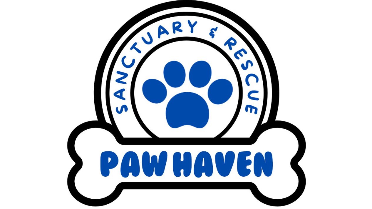 Support Paw Haven Sanctuary's Mission to Provide a Haven for Dogs in Need