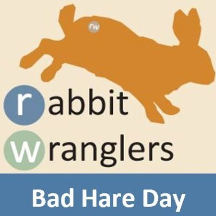Bad Hare Day Grooming by Rabbit Wranglers, Sunday December 8, 2024