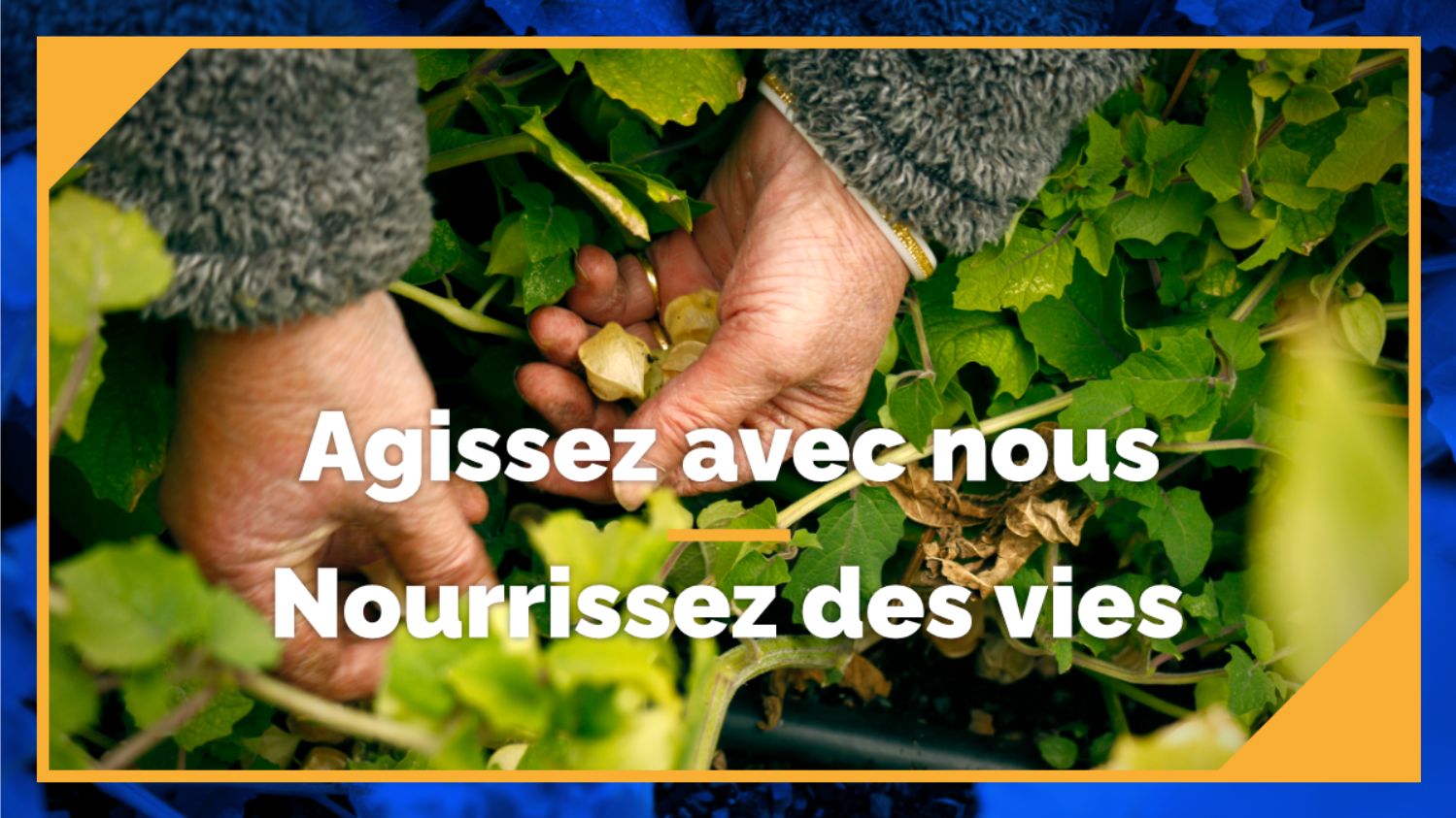 Agissez avec nous et nourrissez des vies