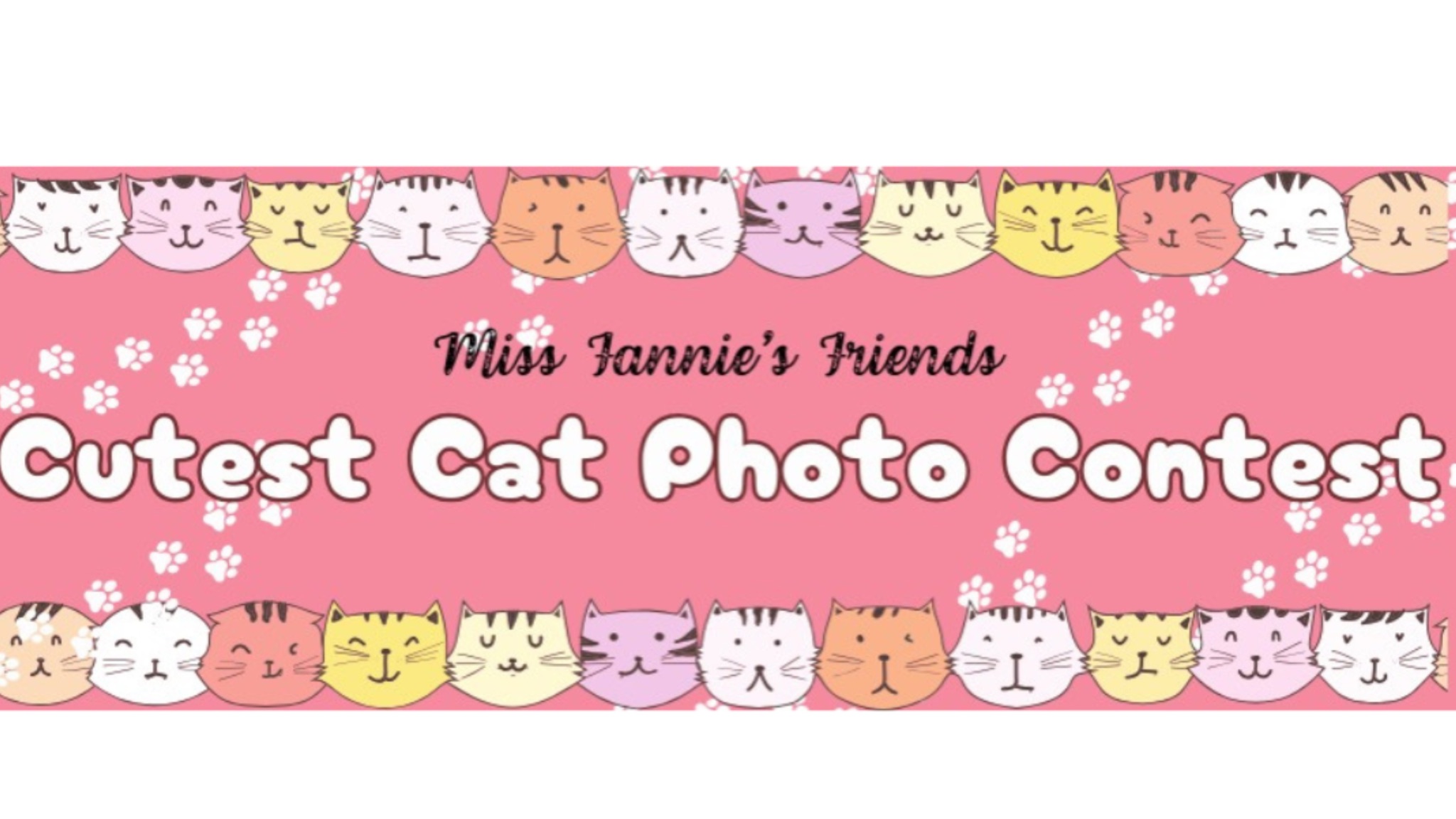 Cutest Cat Photo Contest Submissions