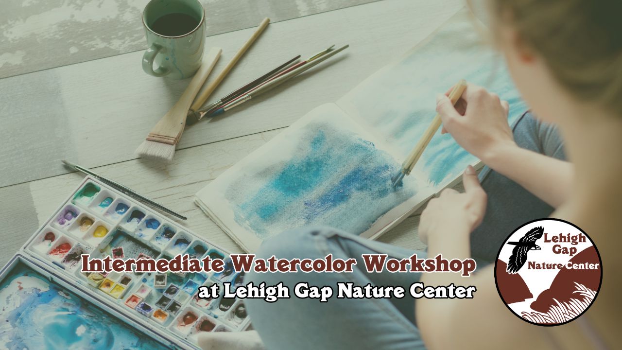 INTERMEDIATE Watercolor Workshop