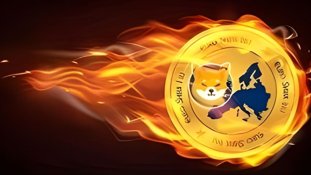 SHIB Worldwide 50/50 Raffle