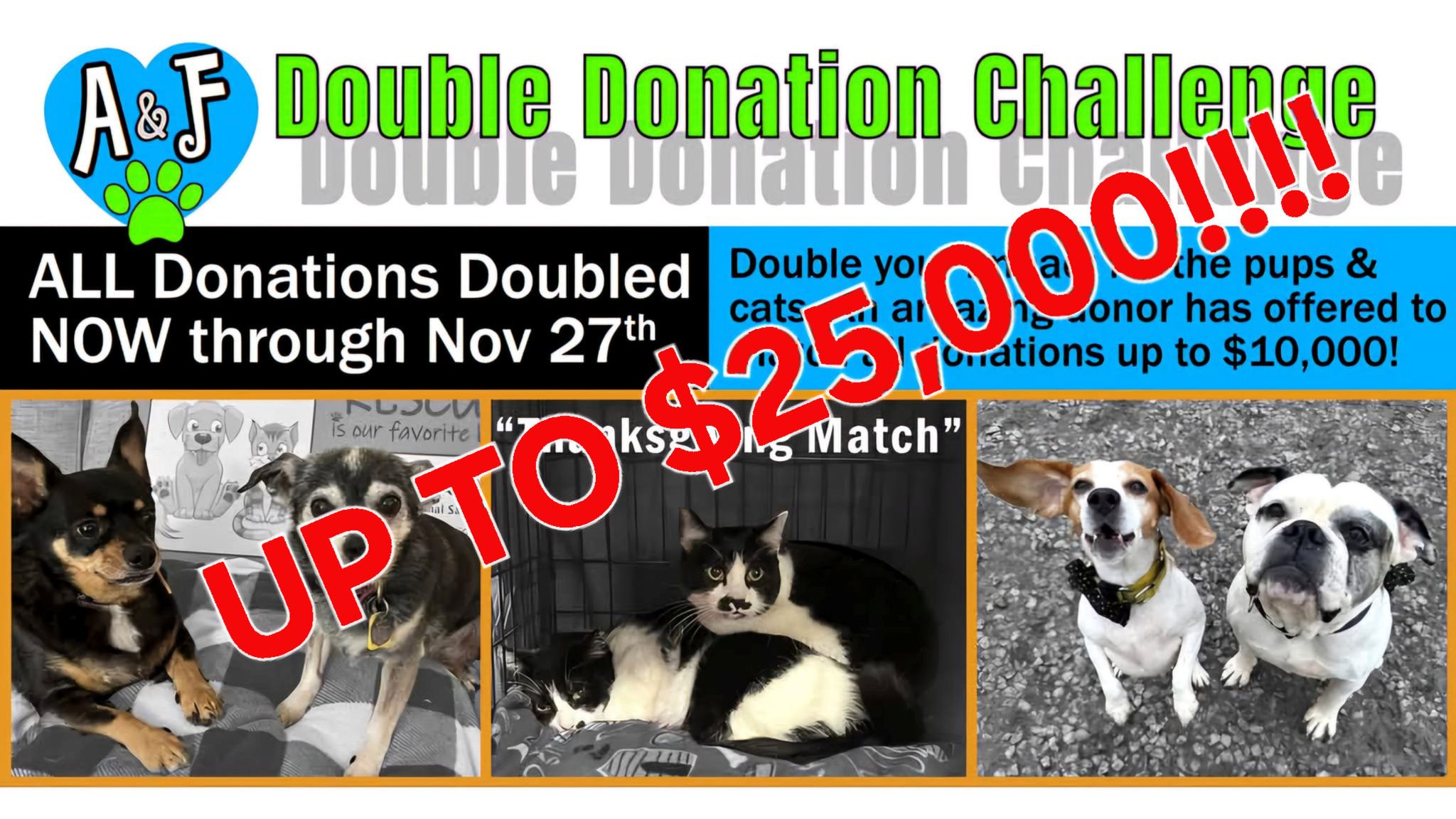 Thanksgiving Double Donation Challenge