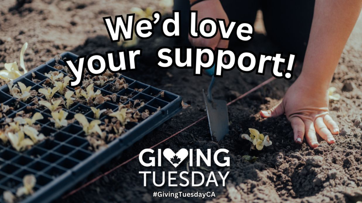 Urban Roots London's Giving Tuesday Fundraiser