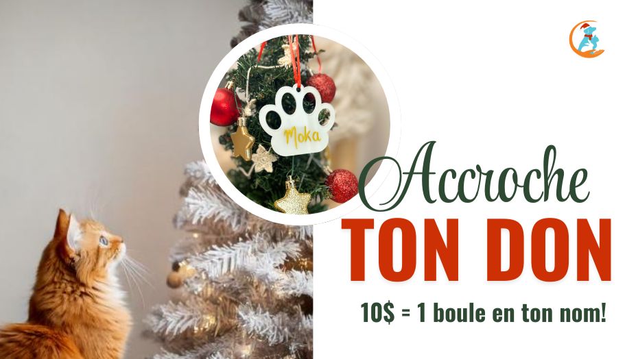 Accroche ton don