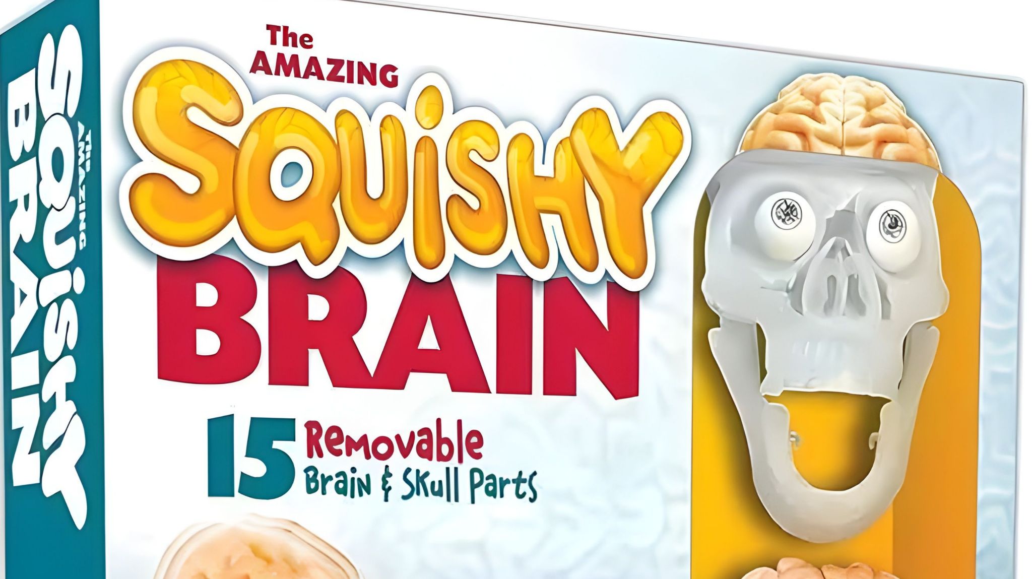 The Amazing Squishy Brain Toy - Joy Doll 2024 Holiday Doll Drive and ...