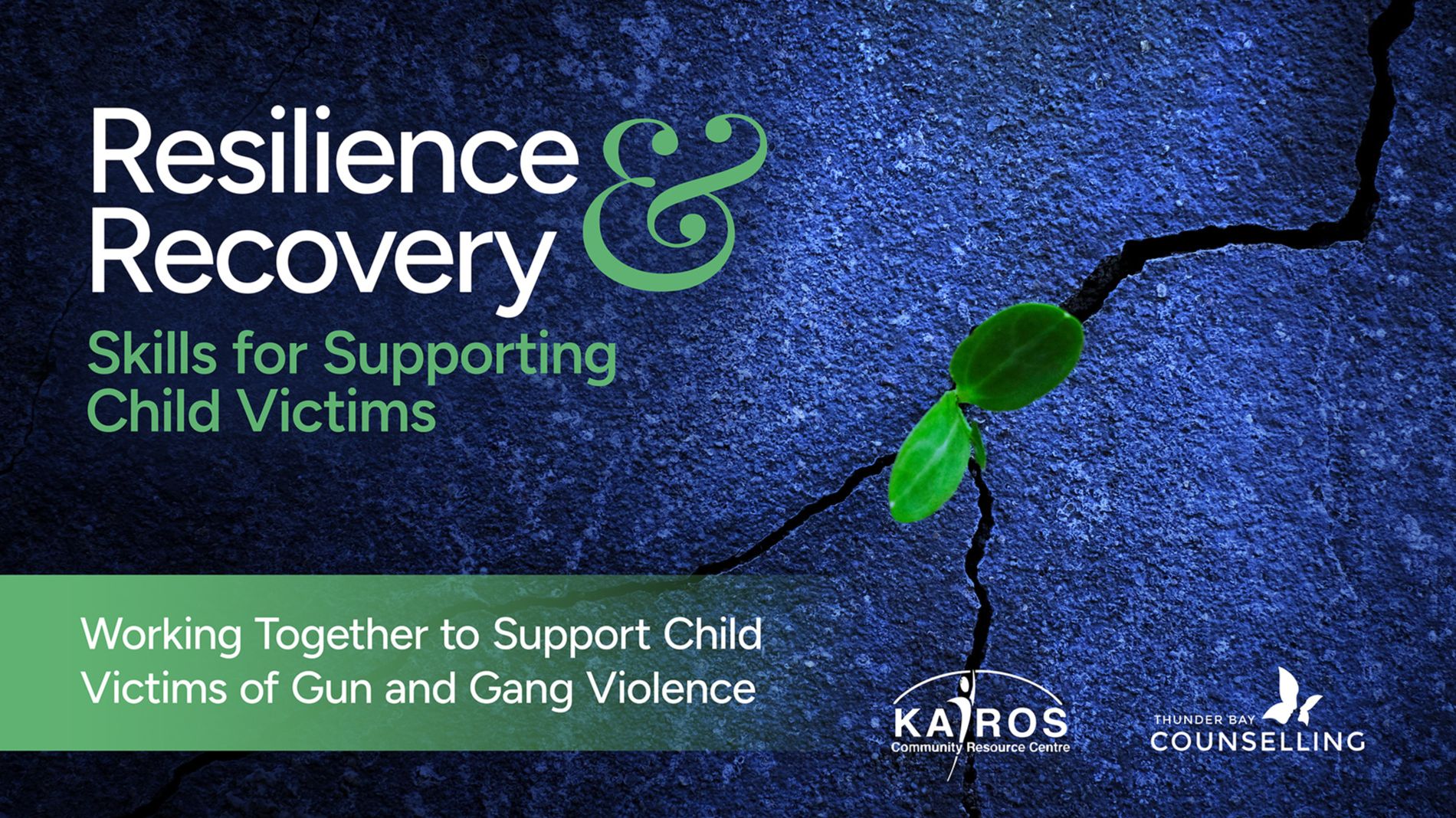 Resilience & Recovery: Skills for Supporting Child Victims - Half Day