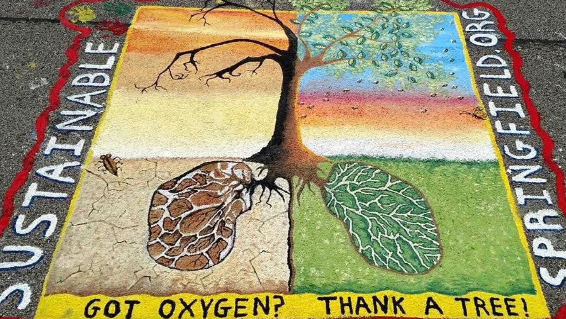 Sustainable Springfield’s 2024 raffle