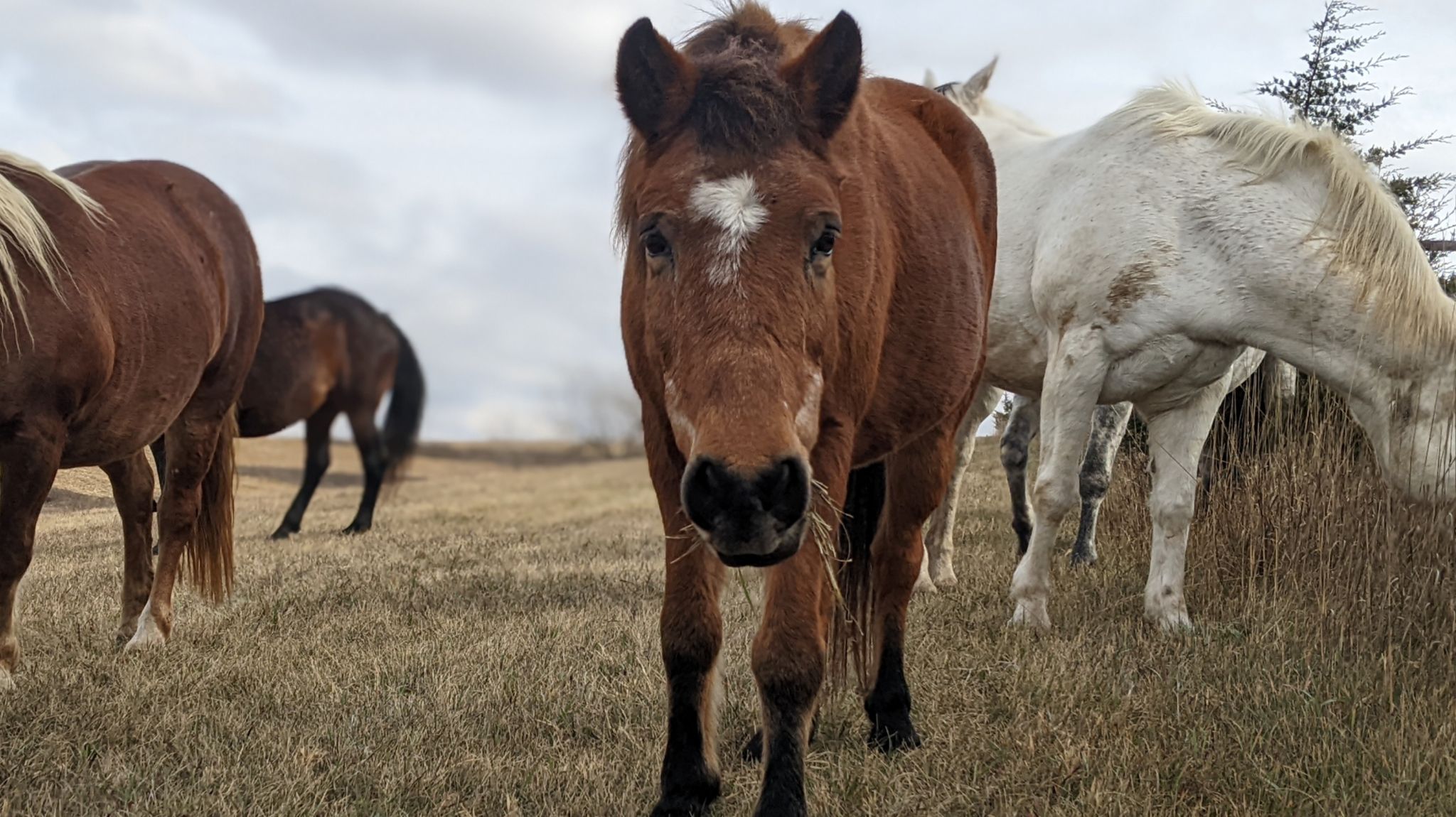 Donate to make a difference