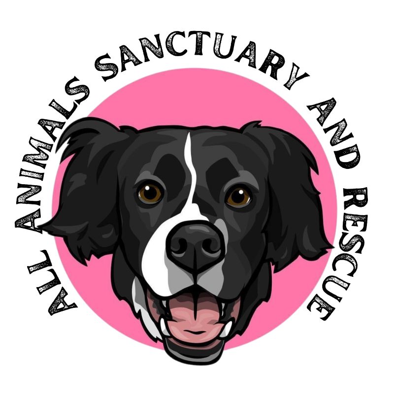Welcome 2025 Fundraiser - Secure AASR Before We Exit 2024