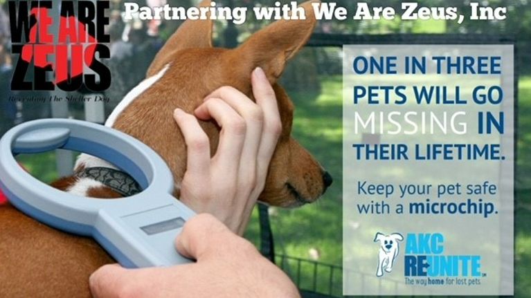 Low Cost Microchip Event - Horse Sense