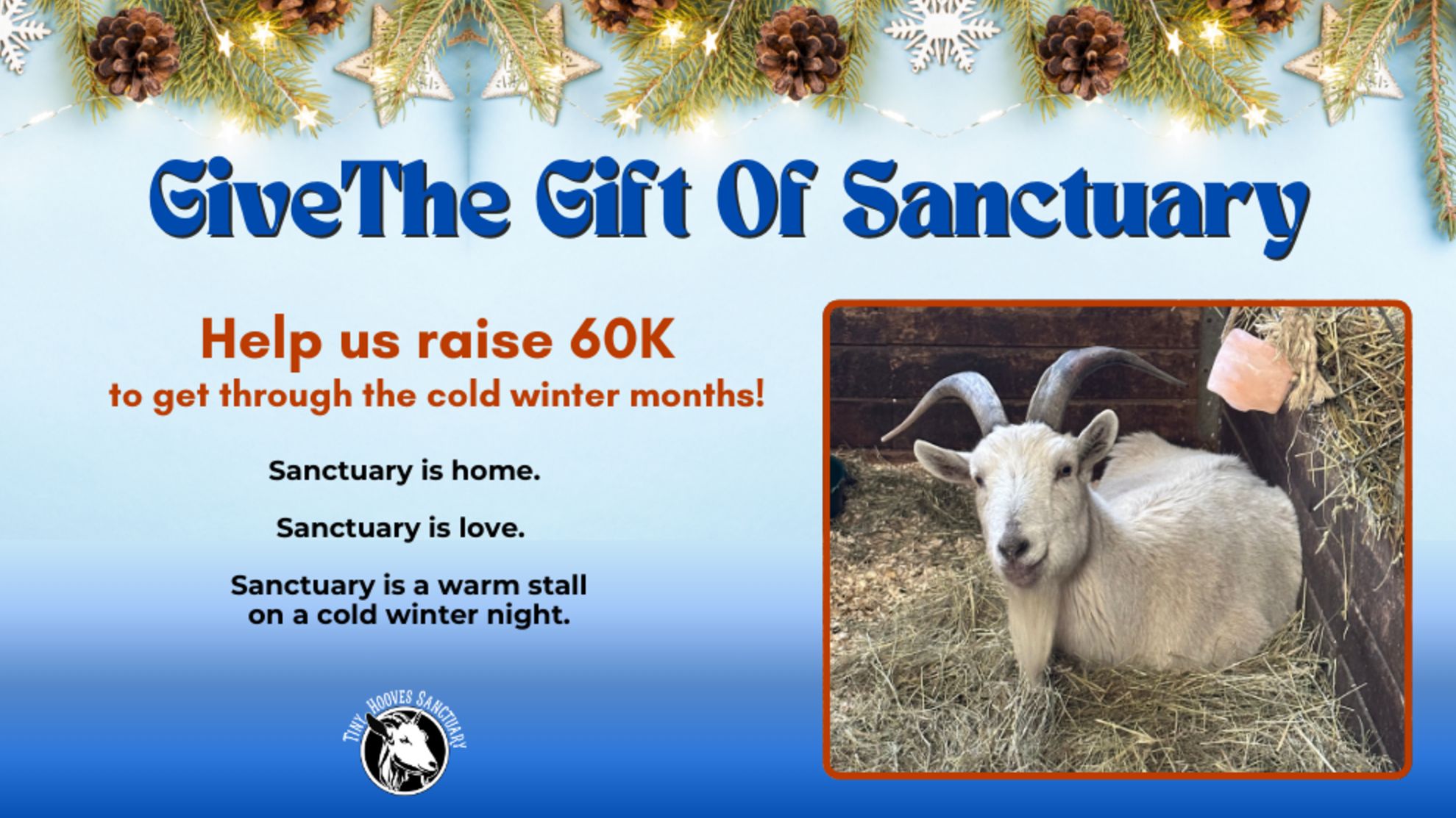 Give The Gift of Sanctuary This Holiday Season!