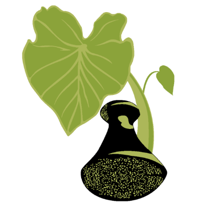 DOH HSHRC 2025 - 11 Registrations