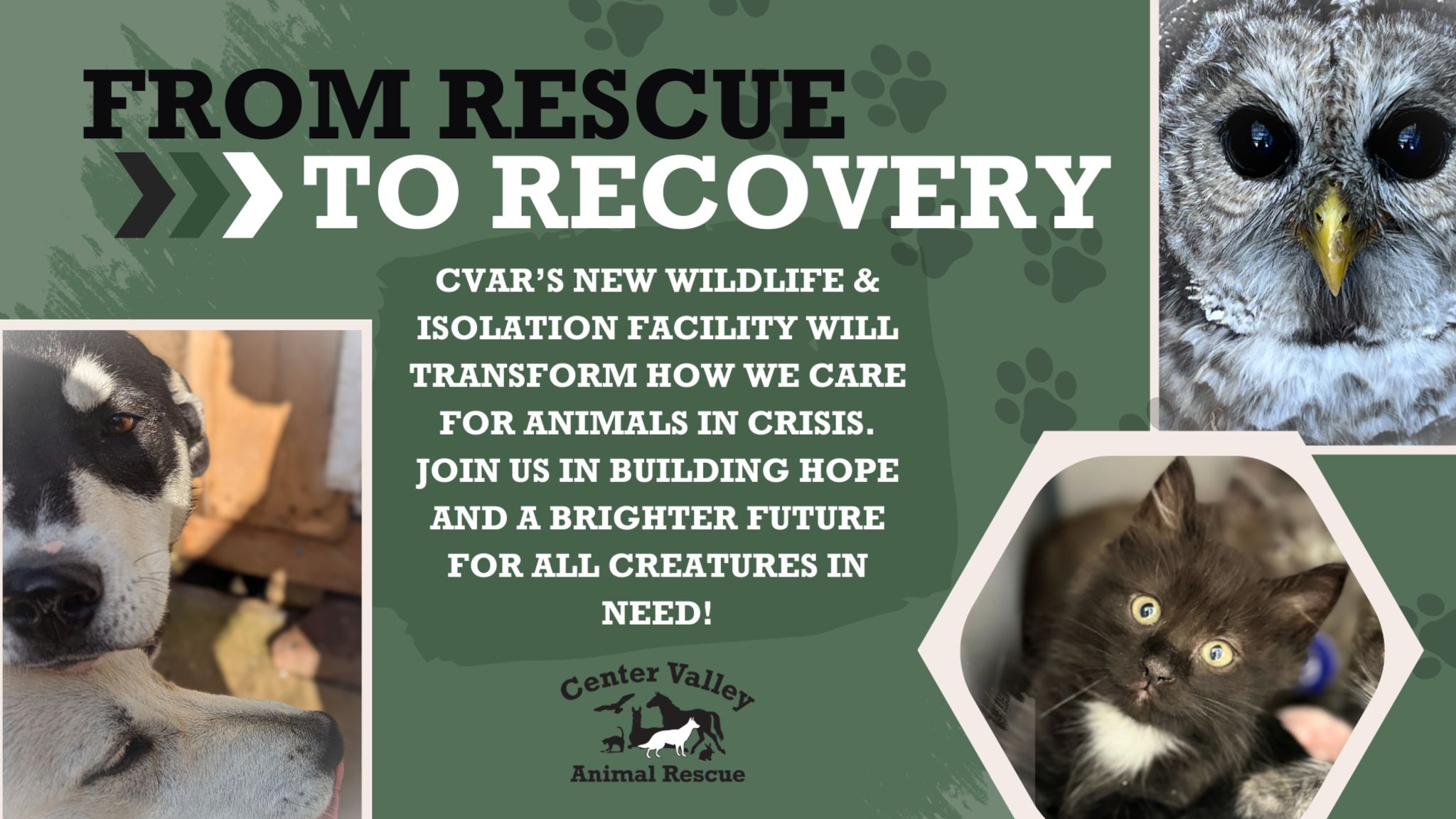 From Rescue to Recovery: Everyone can make a difference!