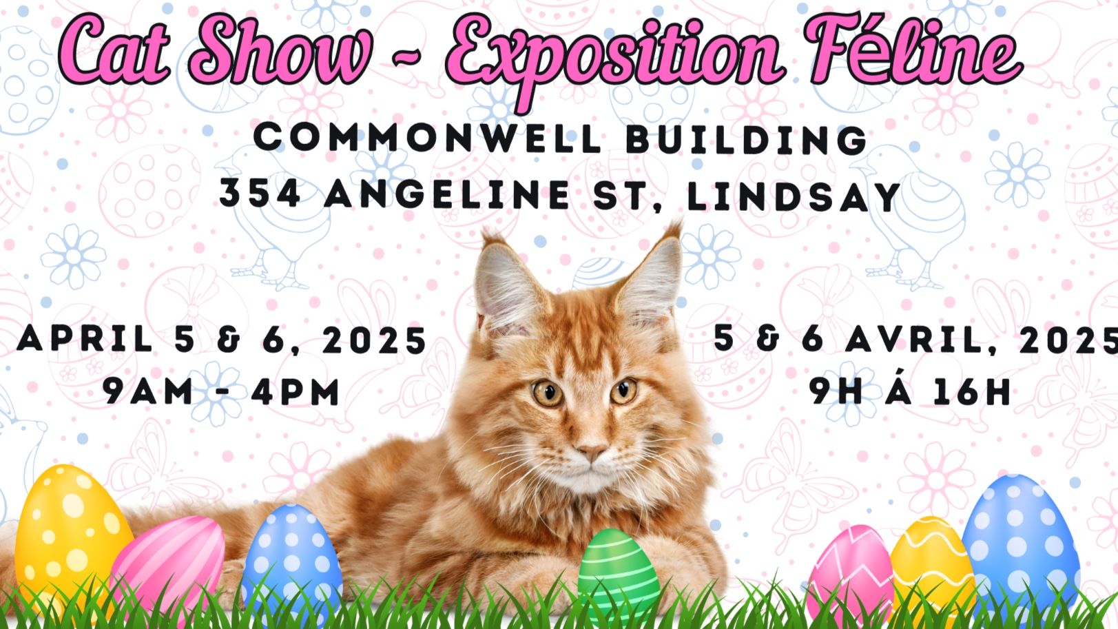 Lindsay Cat Show - Exposition Féline