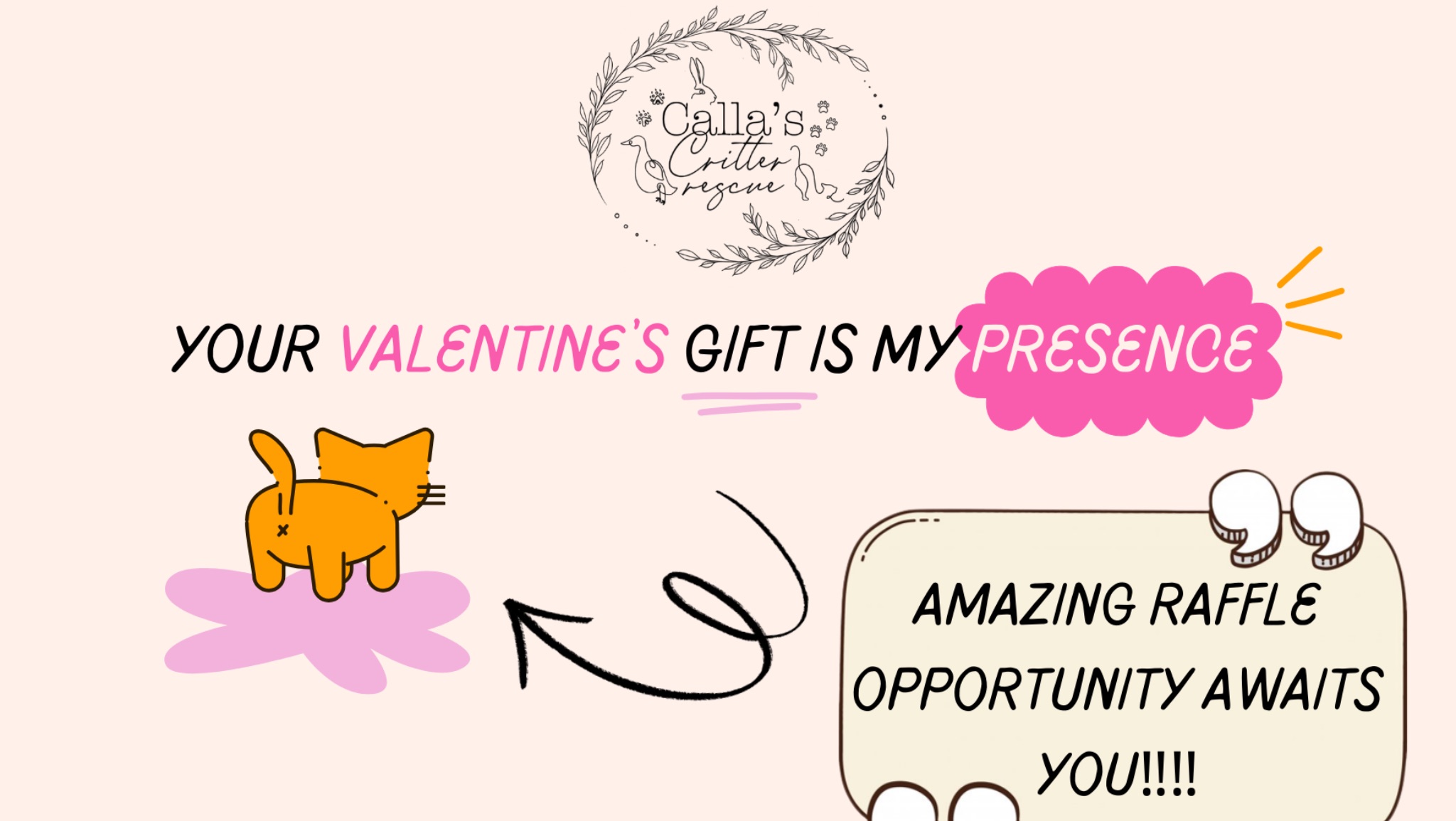 Calla's Critter Rescue's “Be My Meowentine” Raffle