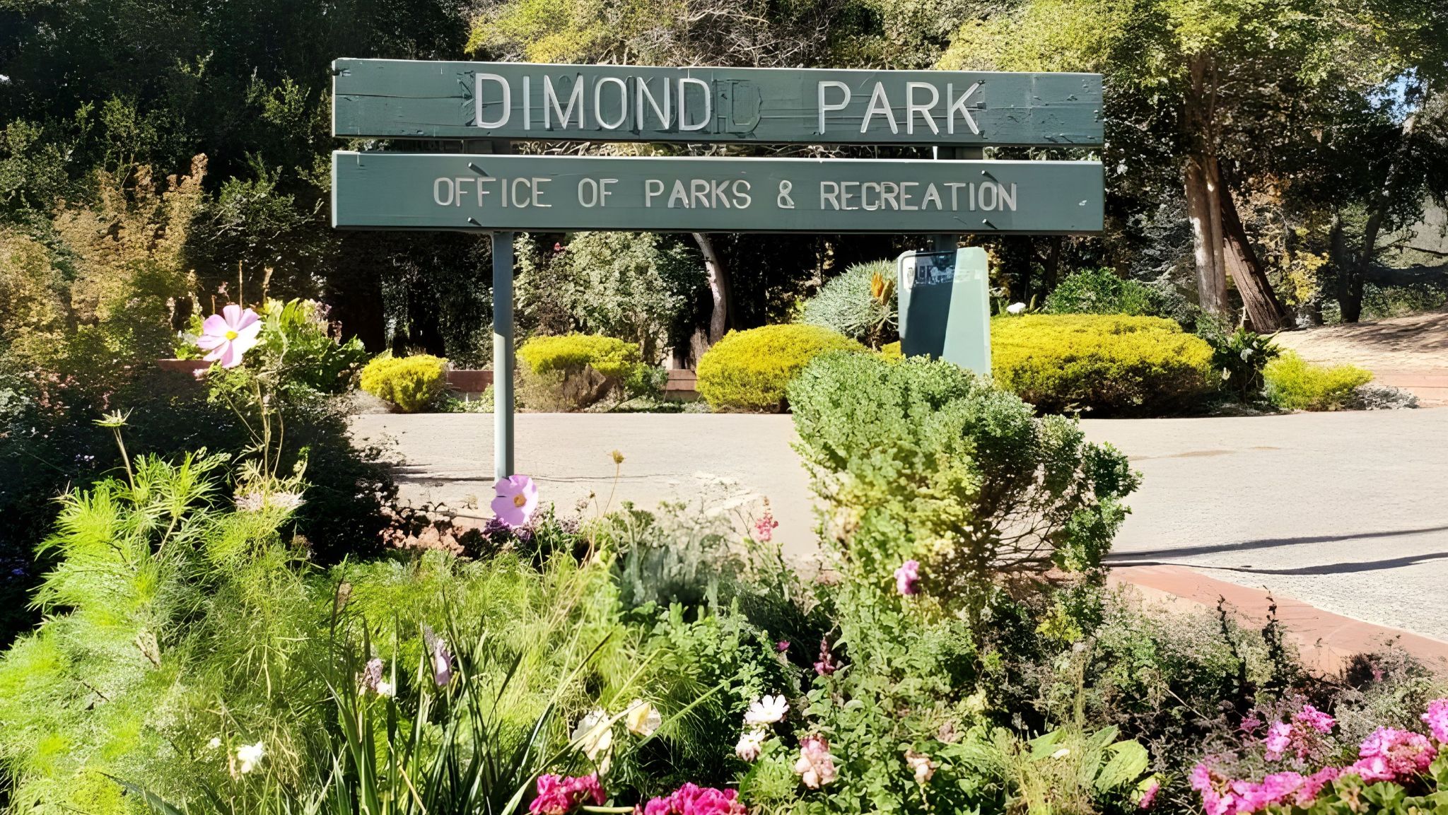 Walking Waterhoods: Sausal Creek in Lower Dimond Park