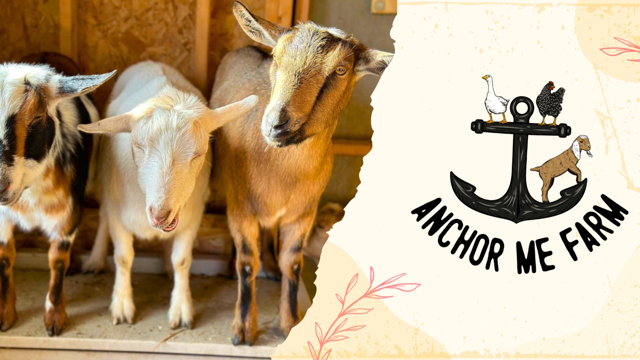 Anchor ME Farm's shop