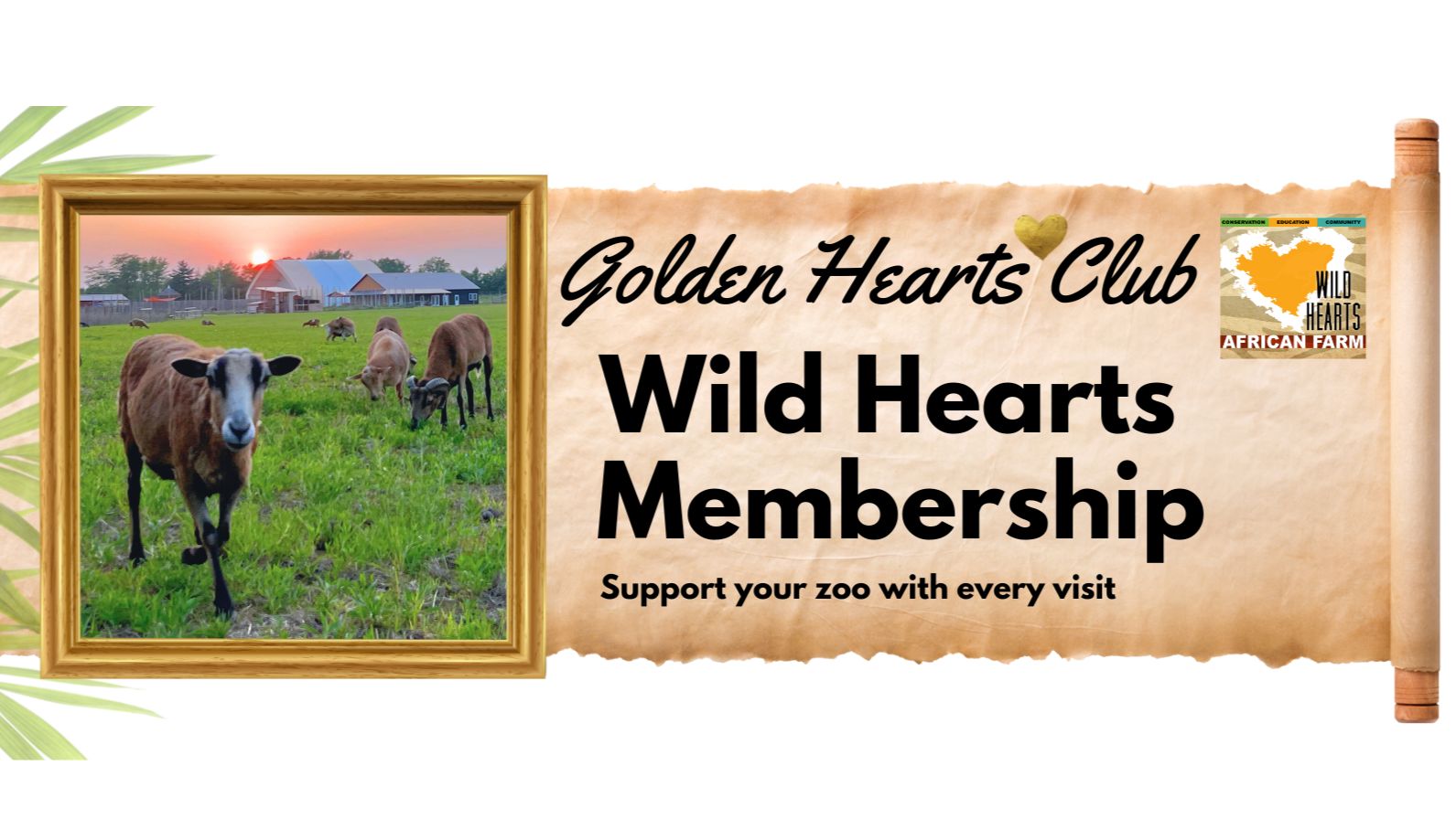 2025 Wild Hearts African Farm Golden Hearts Club Season Pass Memberships
