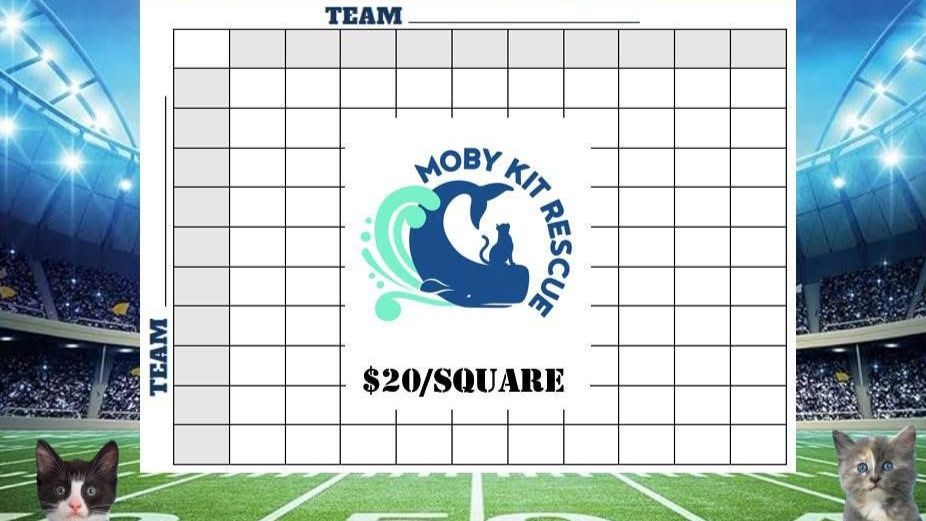 😻🏈 Football squares to support Moby Kit Rescue 🏈😻