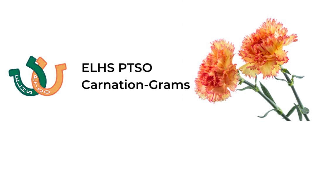 Valentine Carnation-Gram