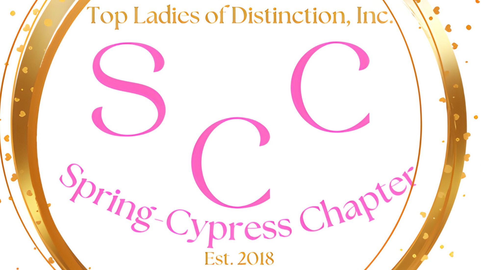 MEMBERSHIP: Spring Cypress Chapter Top Ladies of Distinction Inc.