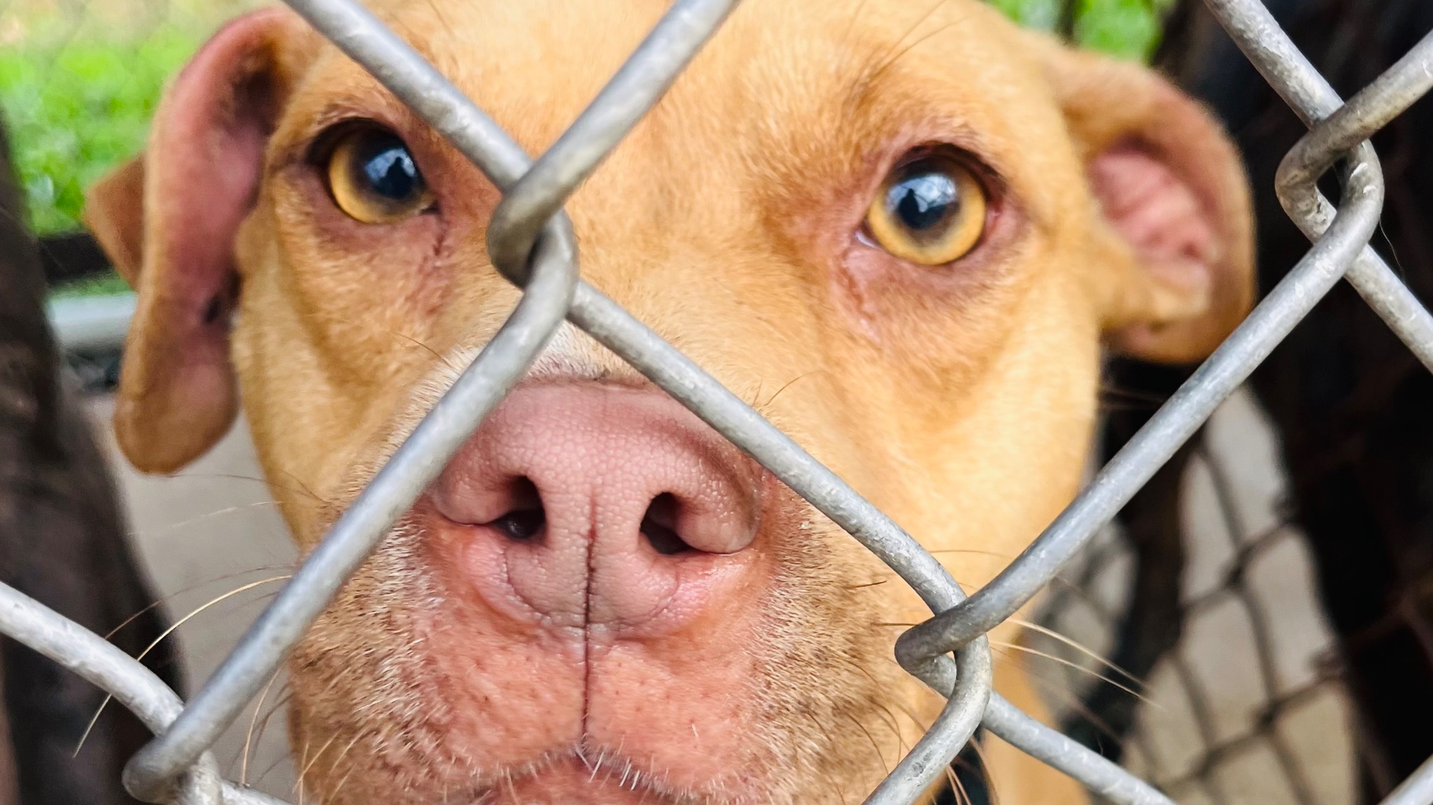 January ODT Transport