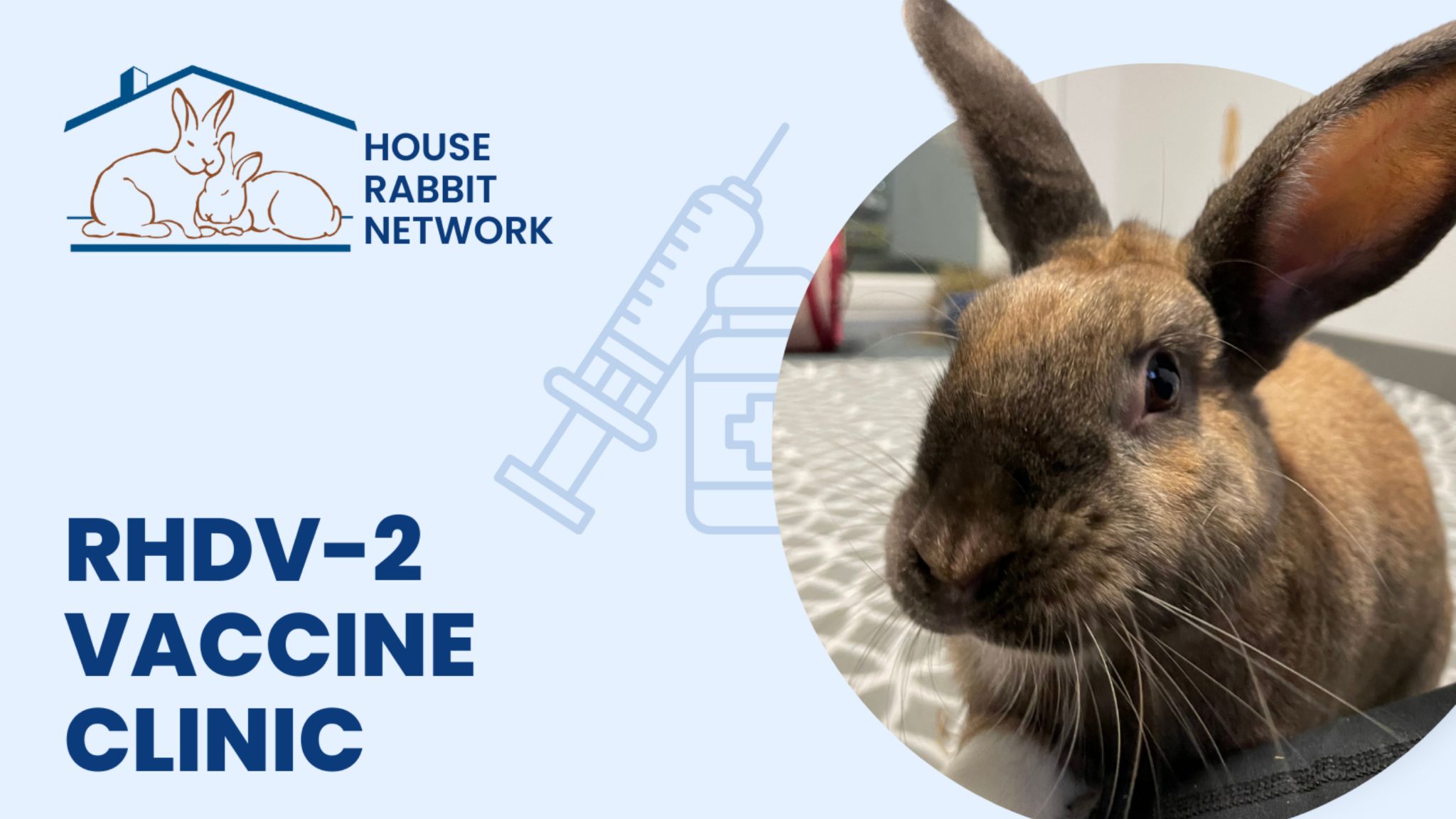 RHDV-2 Vaccination Clinic