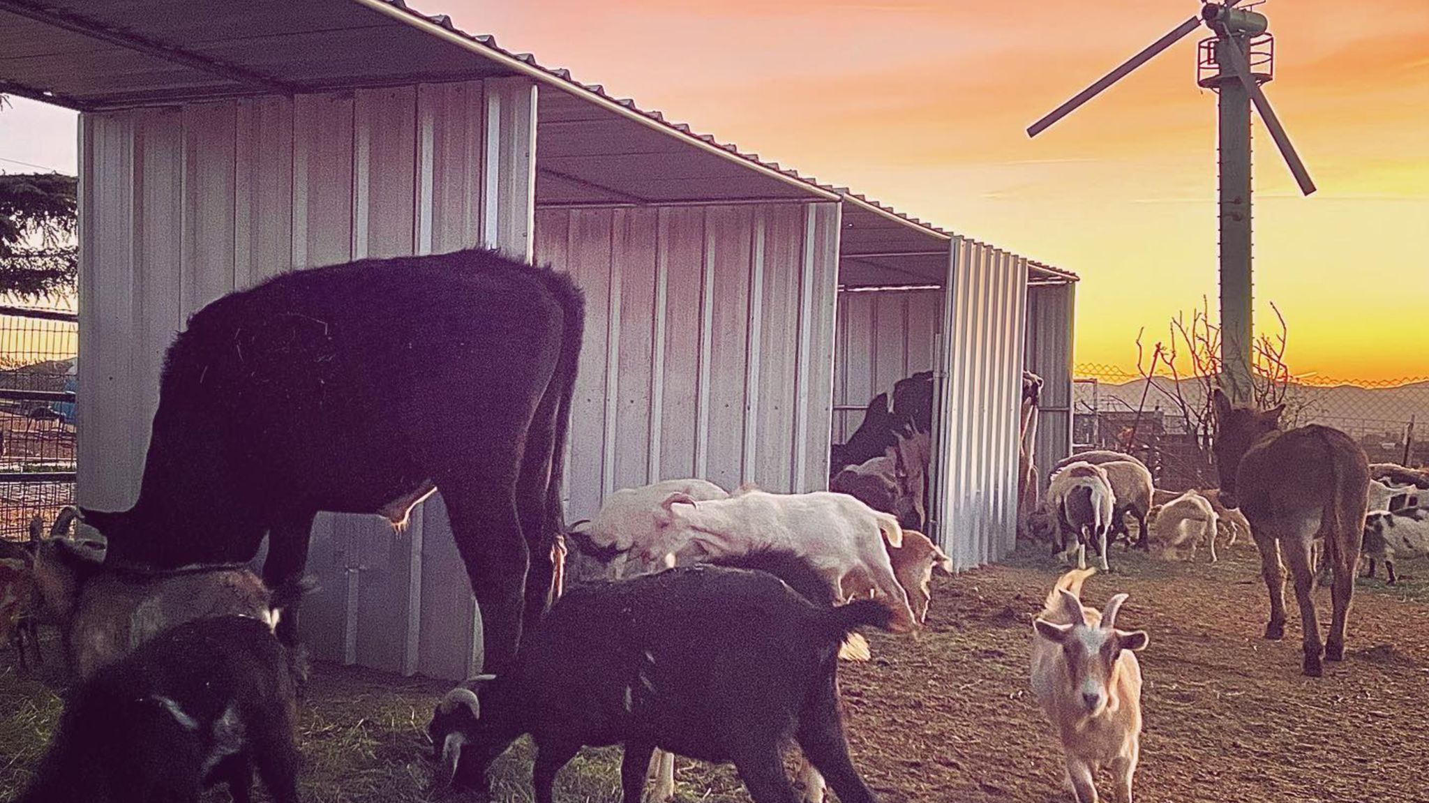 Keeping the Sanctuary Strong ... One Story at a Time