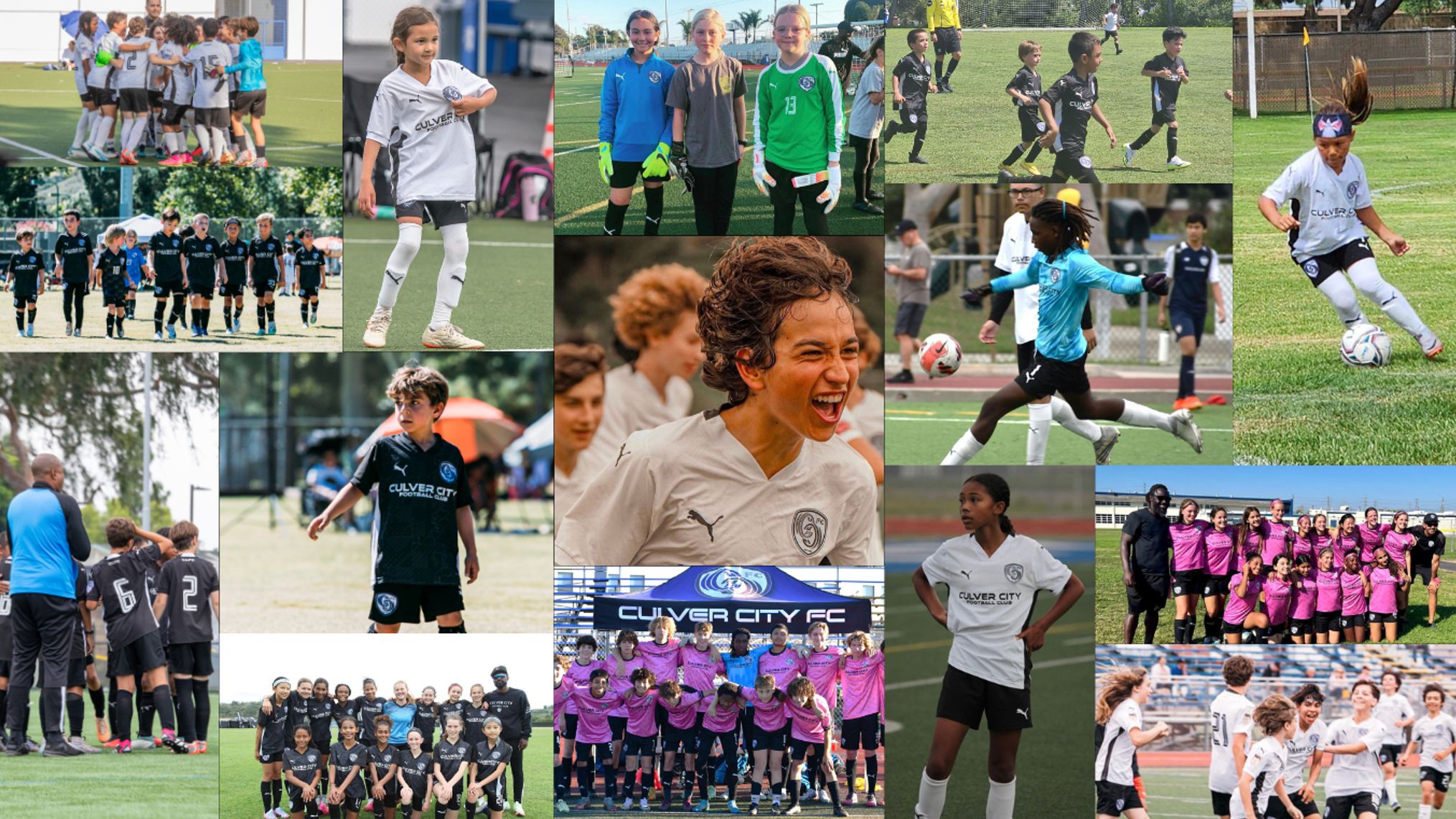 CCFC B14 Pre-NPL