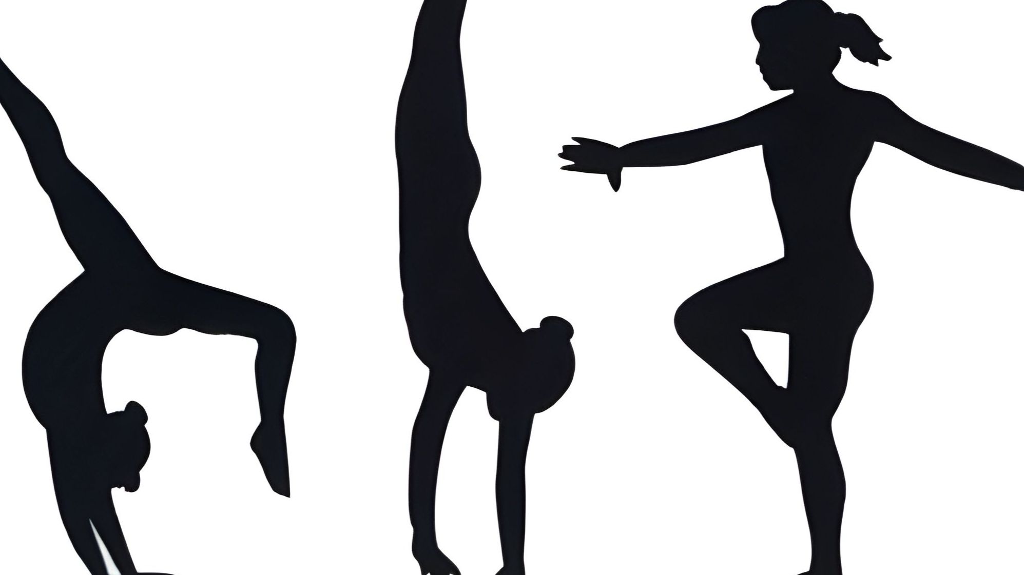 Lightning Gymnastics - Poinsettia Fundraiser