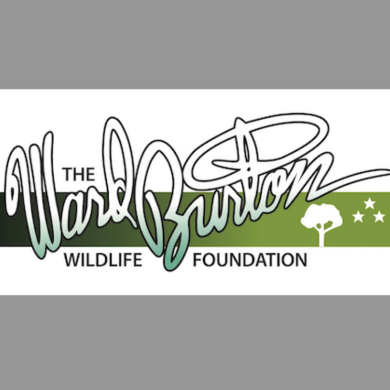 NASCAR Cup Series Duels at Daytona Rolex Lounge VIP Experience