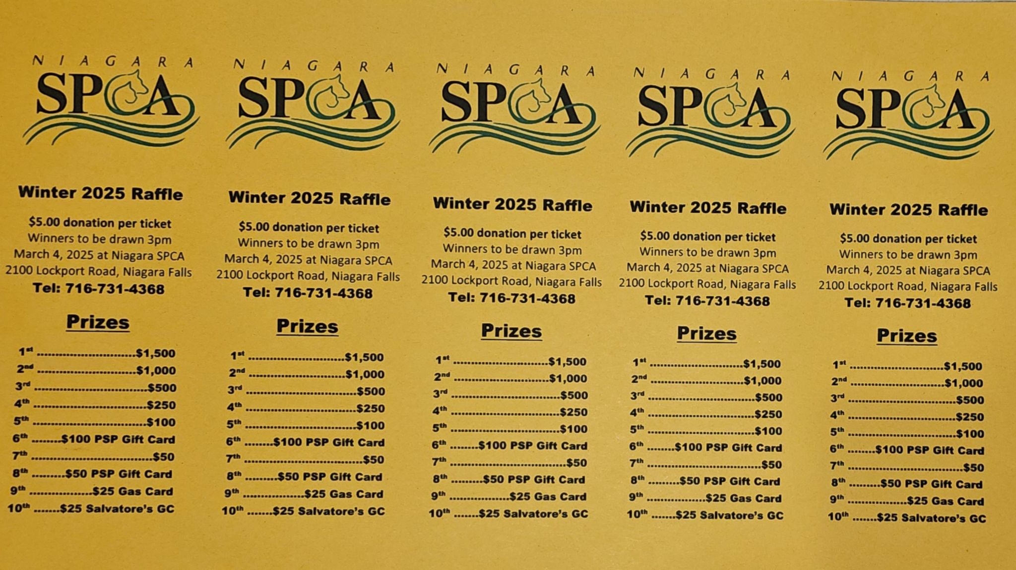 2025 Winter Cash Raffle