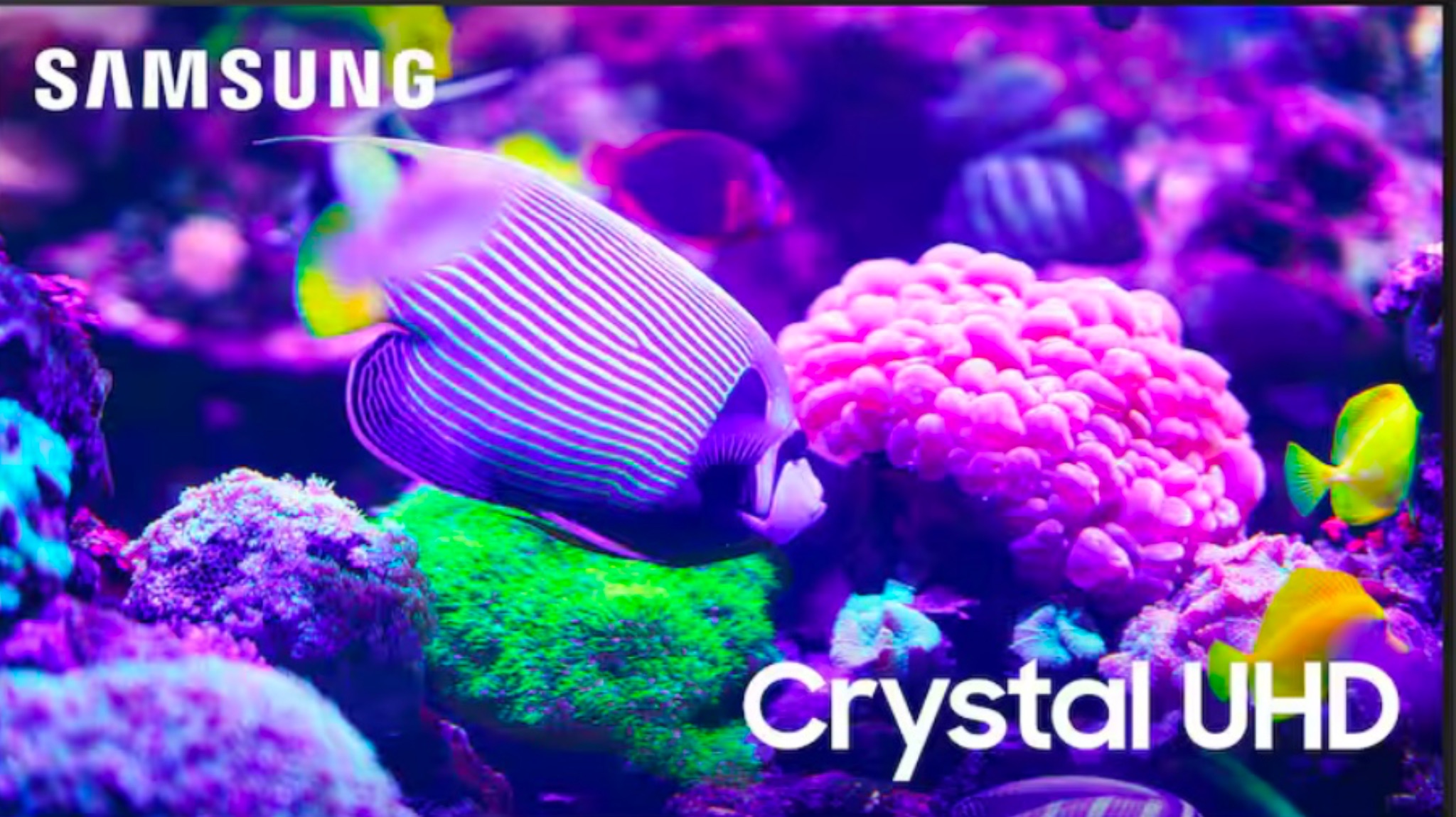 65” Samsung TV Raffle