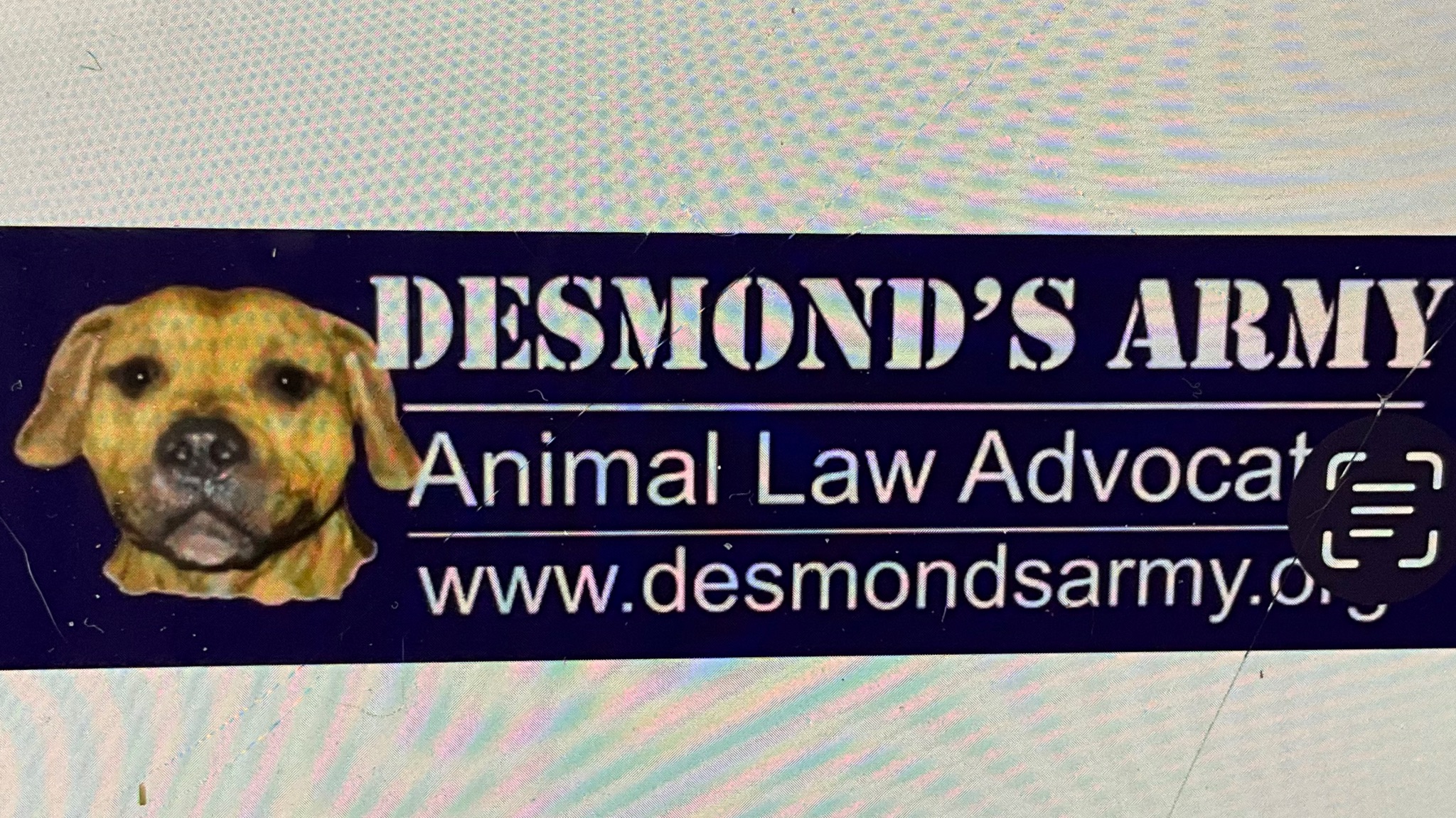 Desmond’s Army Animal Law Advocates's lottery basket raffle 2025