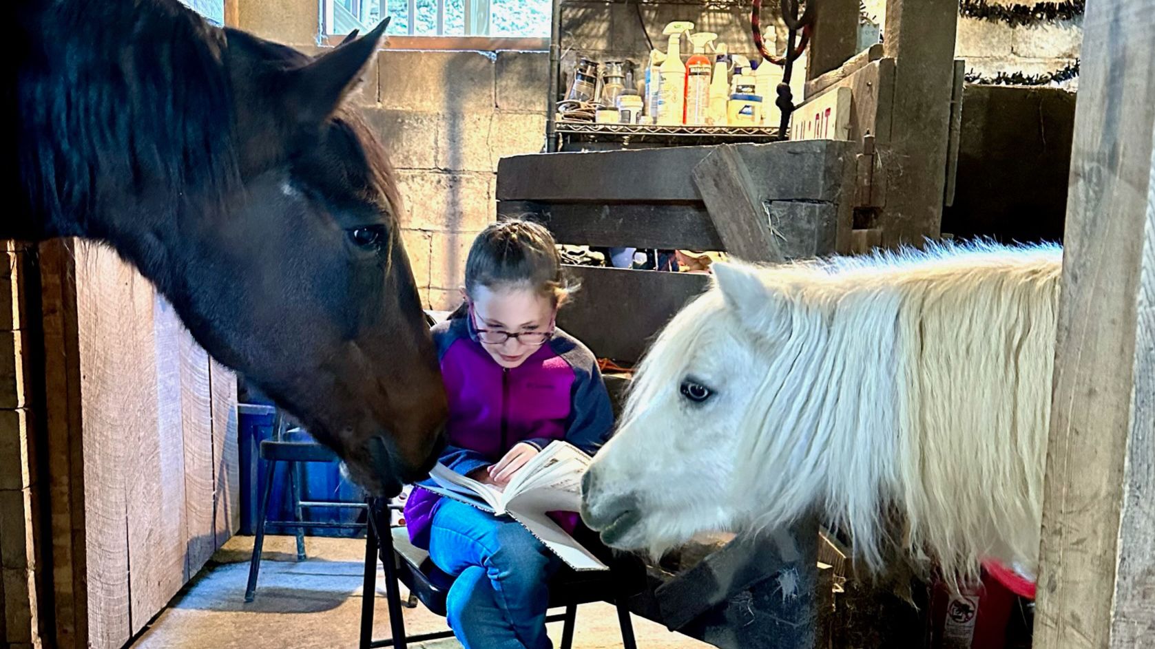 Bella Terra - Reading Roundup