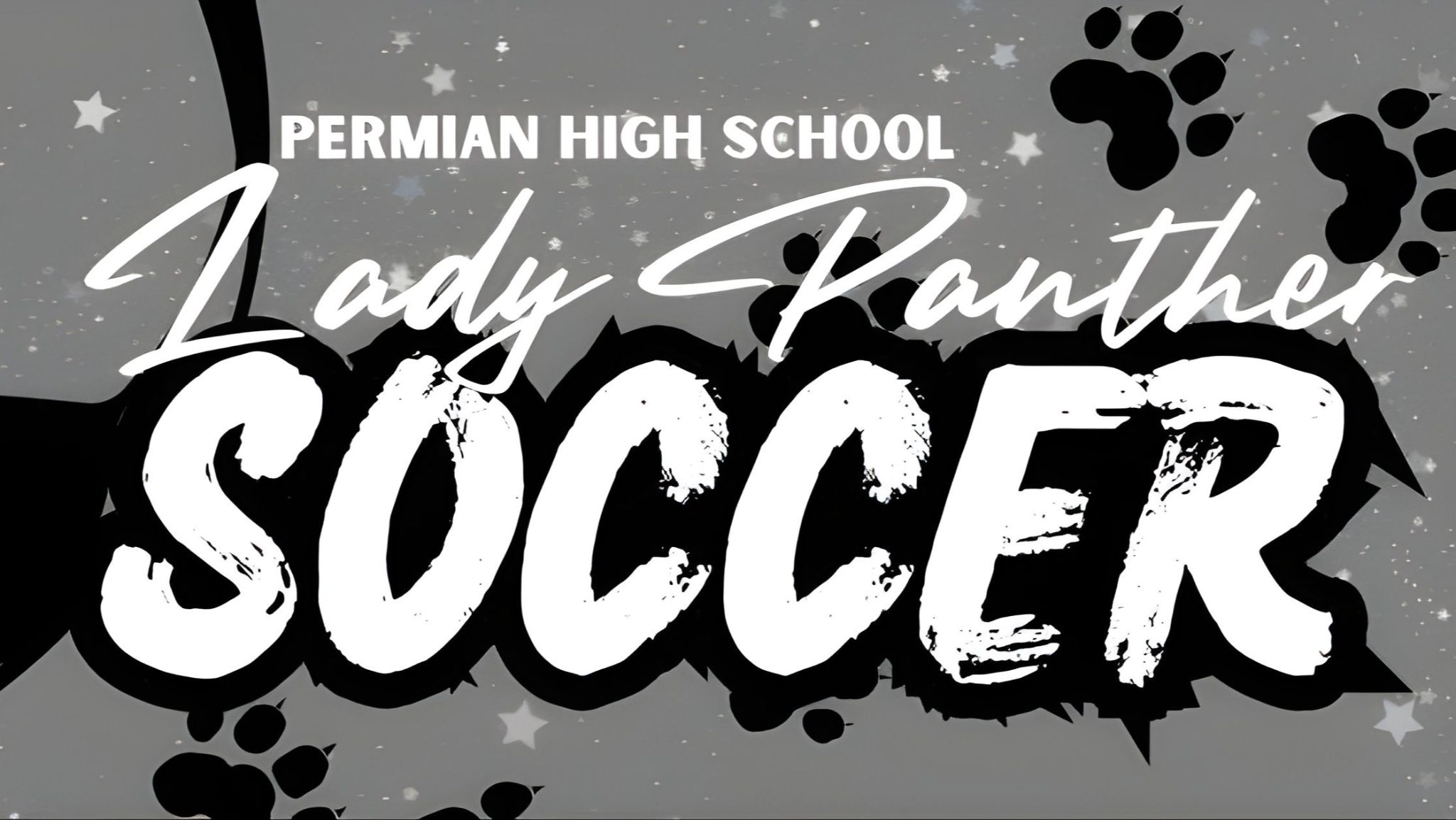 Lady Panther Digital Images - Wende Rae Photography