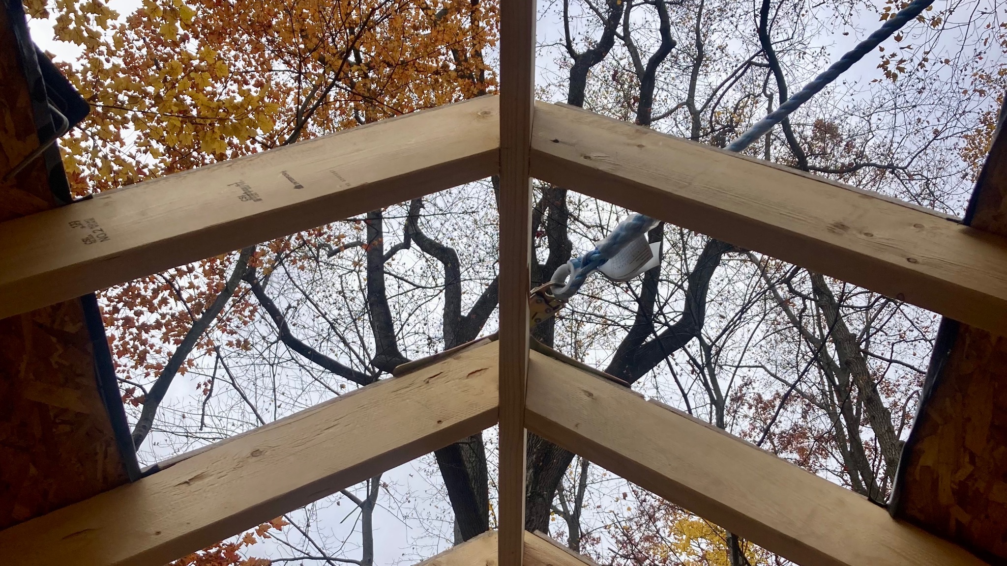 Carpentry Fundamentals: Weekend Shed Build