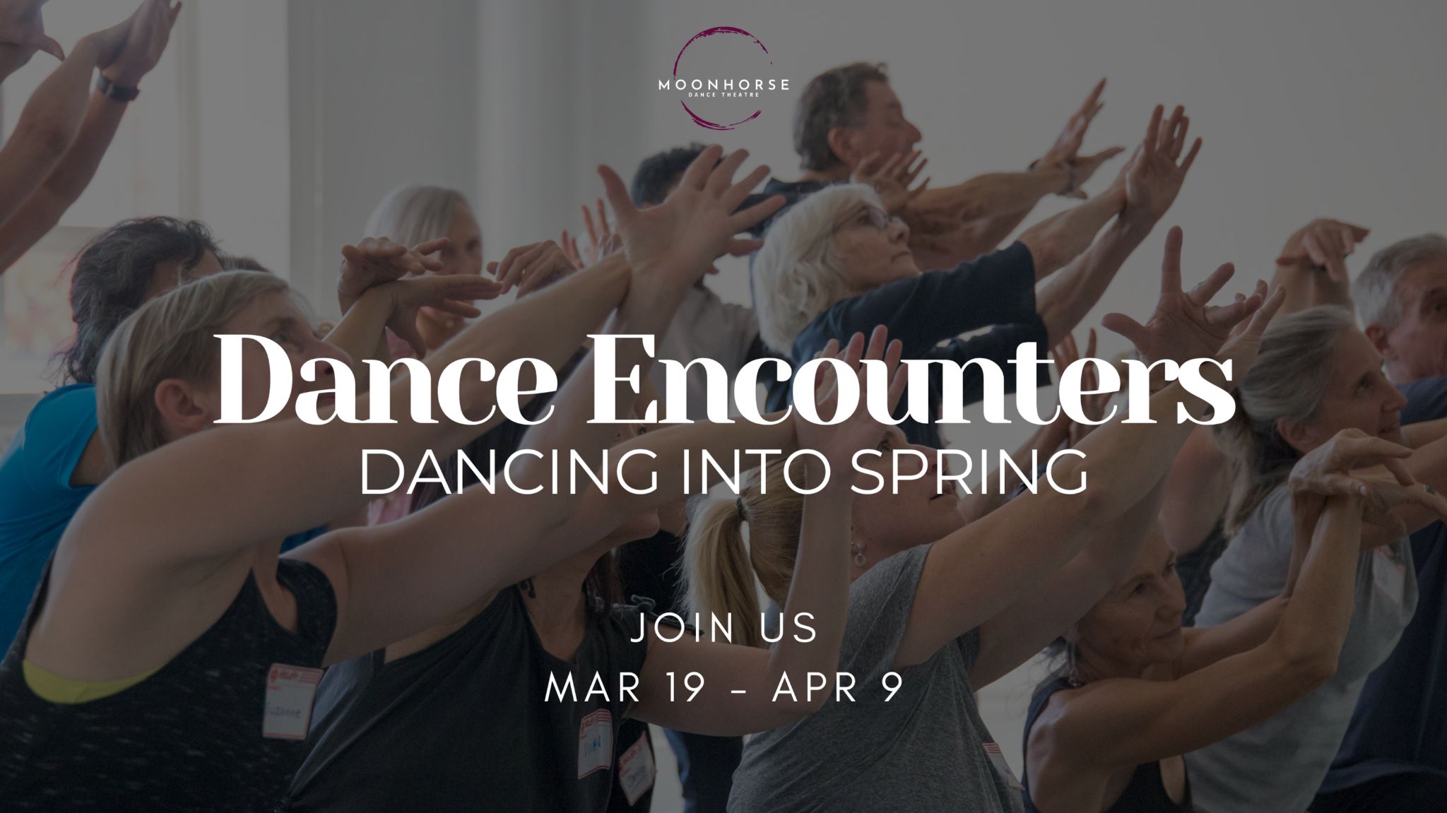 🌷 Dancing Into Spring