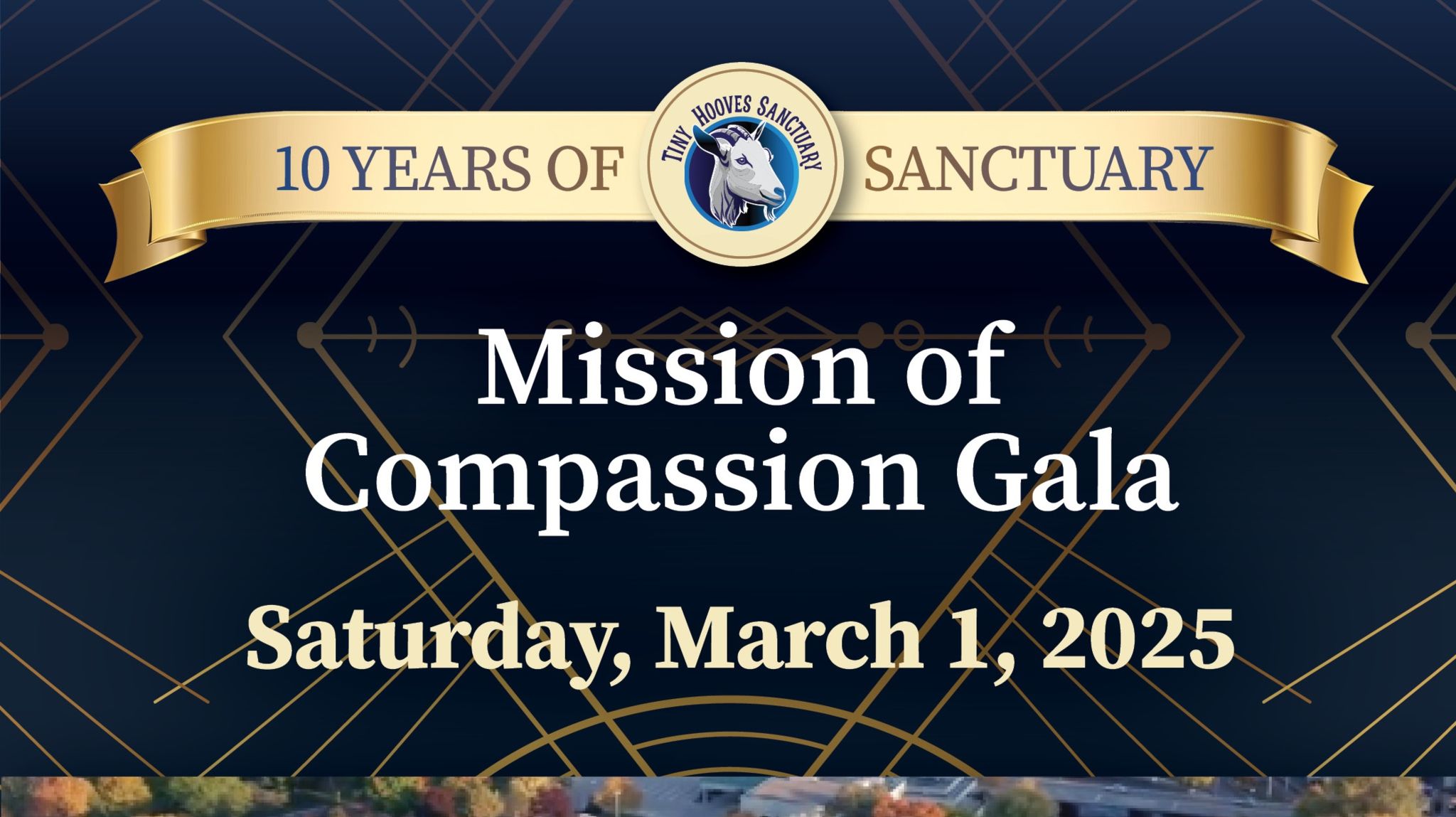 2025 Mission of Compassion Gala Fund