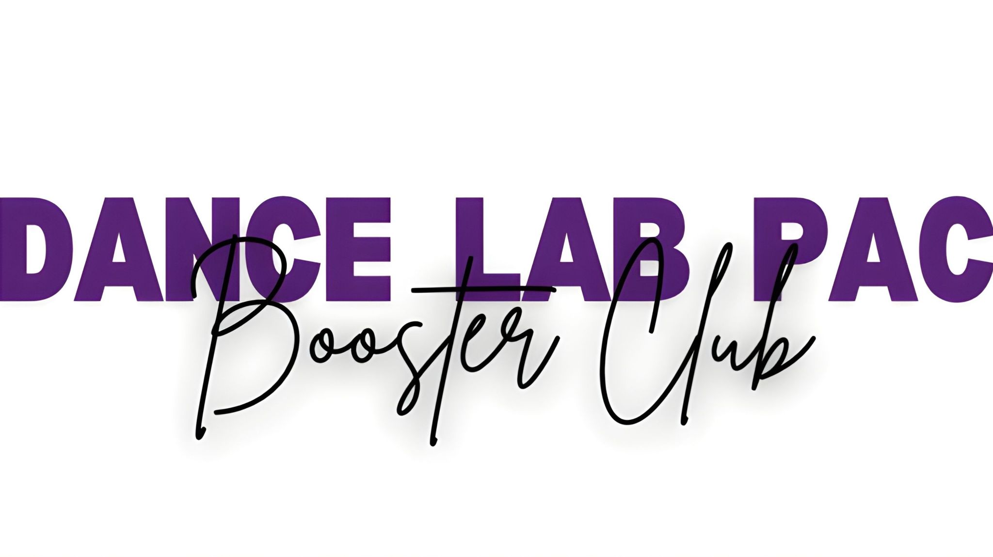 2024-2025 Dlab Dancer Education Fundraiser