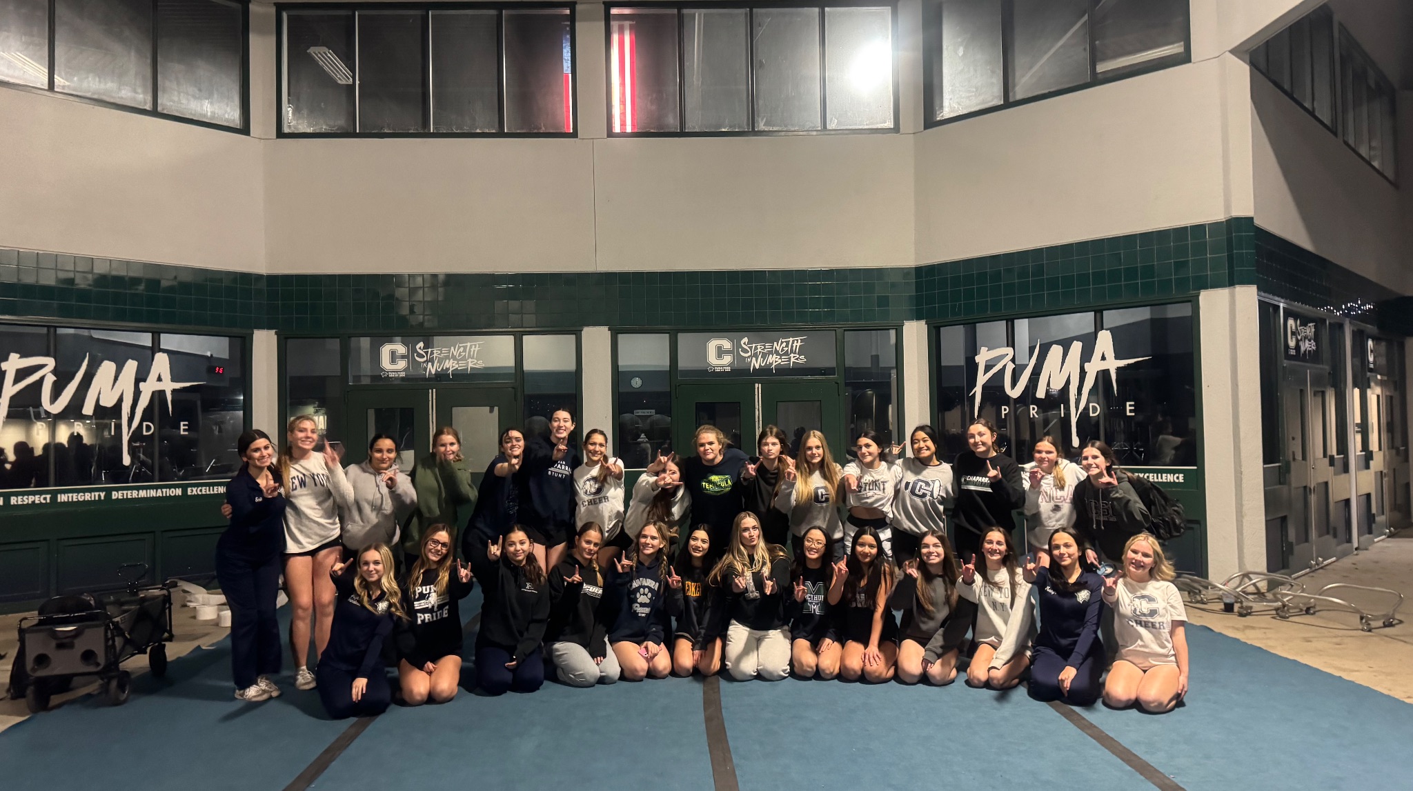 Puma Stunt Gear Store and Payments