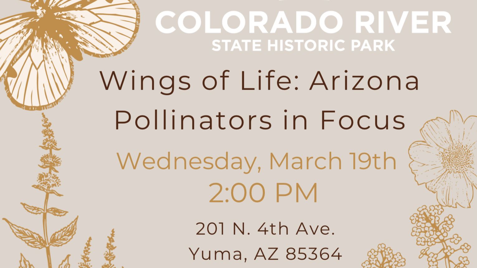 Wings of Life: Arizona Pollinators in Focus