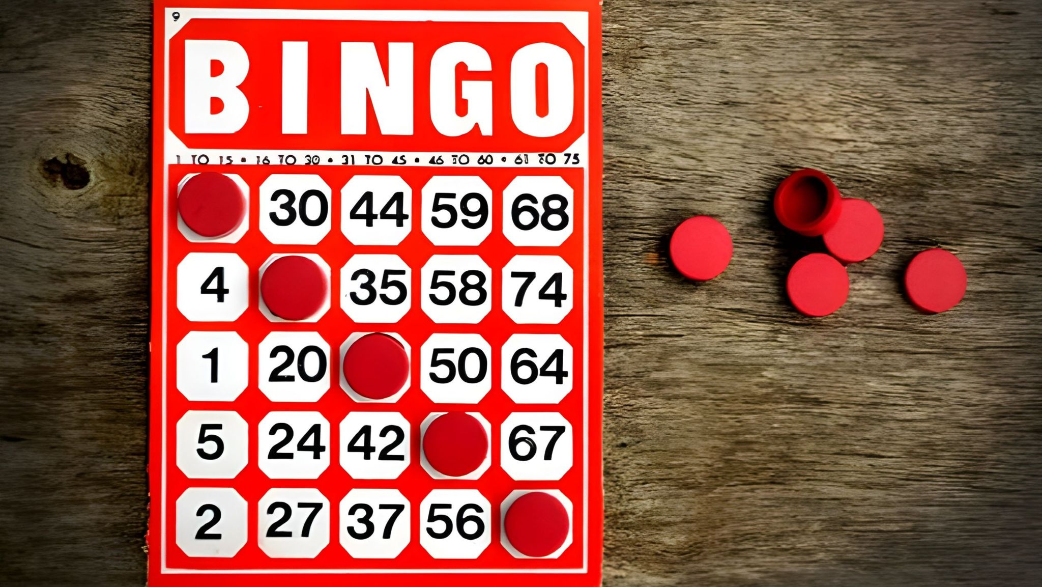 Bingo familial
